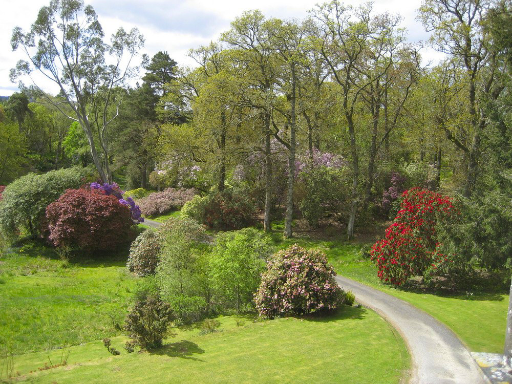 Achnacloich :: Achnacloich