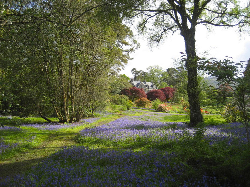 Achnacloich :: Achnacloich