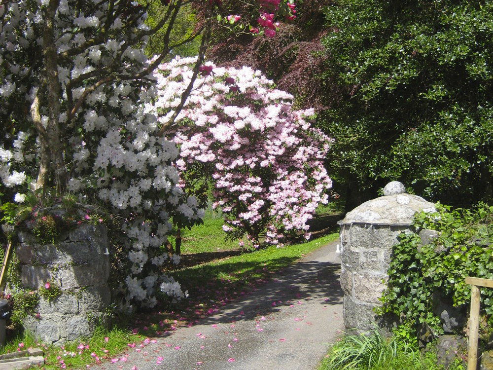 Achnacloich :: Achnacloich