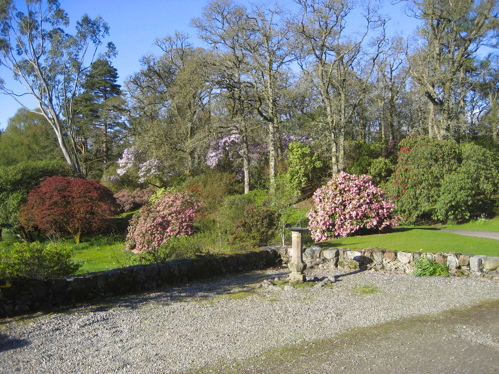 Achnacloich :: Achnacloich